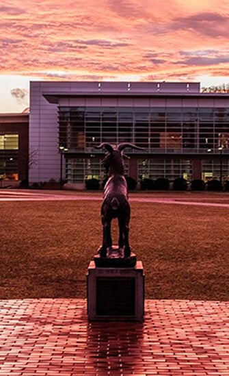 Online Masters Programs | Worcester Polytechnic Institute