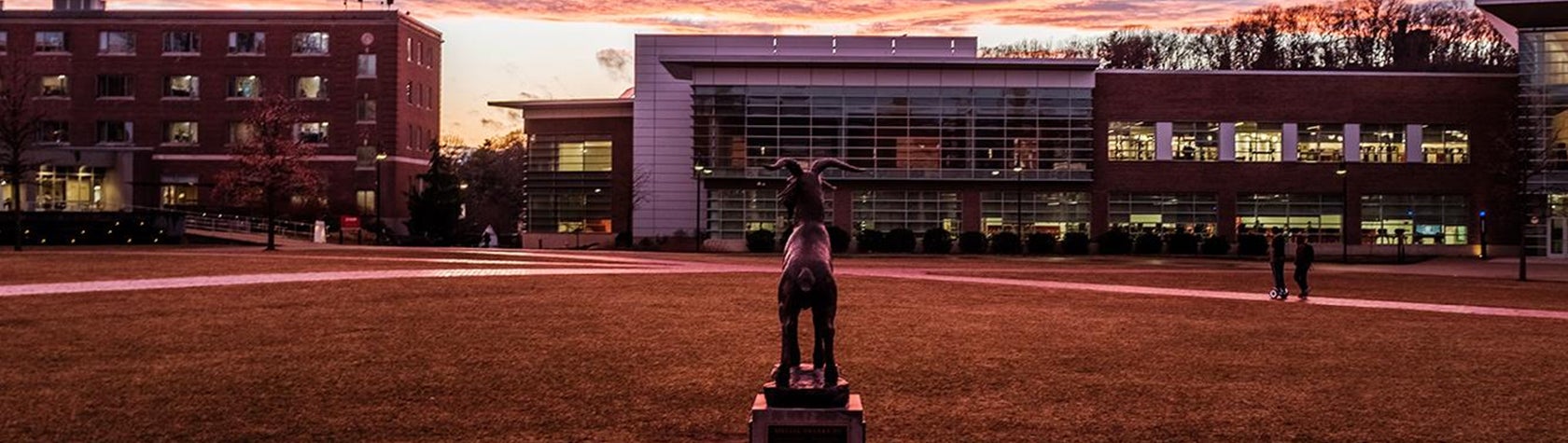 FAQs | Worcester Polytechnic Institute